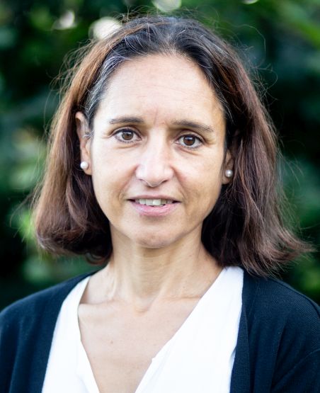 Lessons learned from the implementation of crisis response tools at EU ...