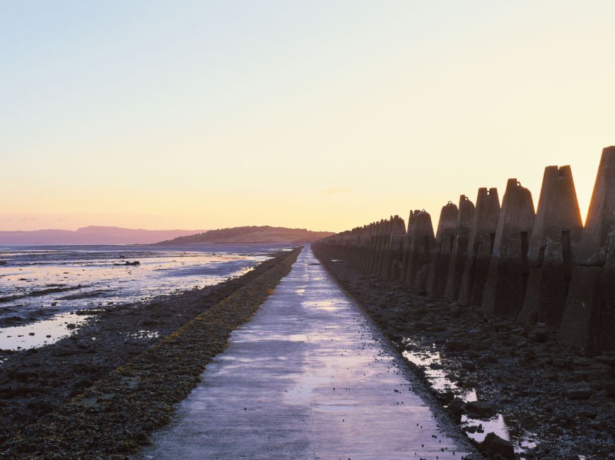 Dylan Macchiarini Crosson - CEPS