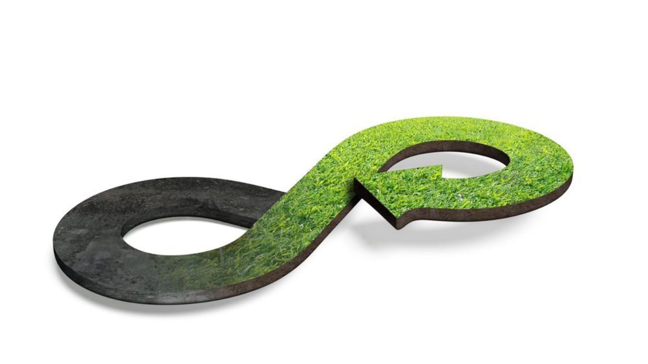 The Circular Economy - CEPS