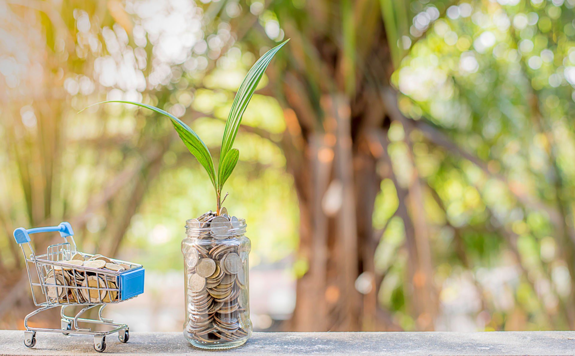 Enabling Sustainable Savings and Investment Channels in Europe - CEPS