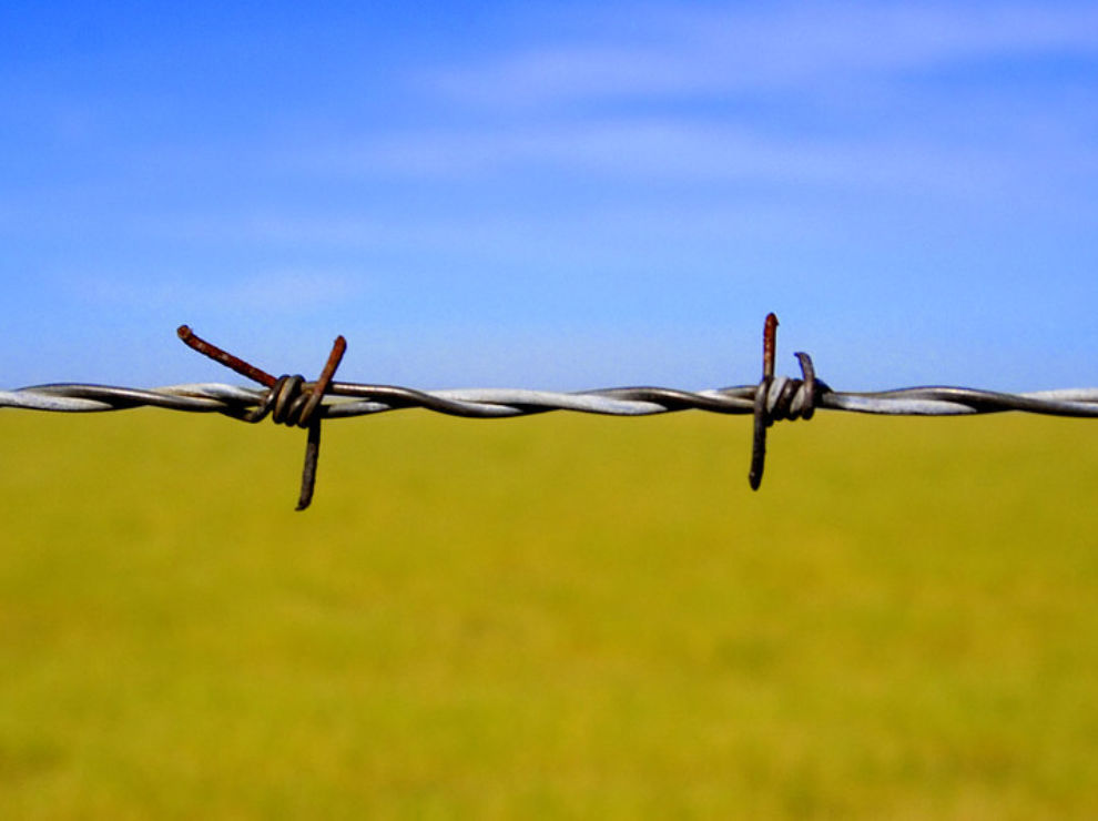 Dylan Macchiarini Crosson – CEPS