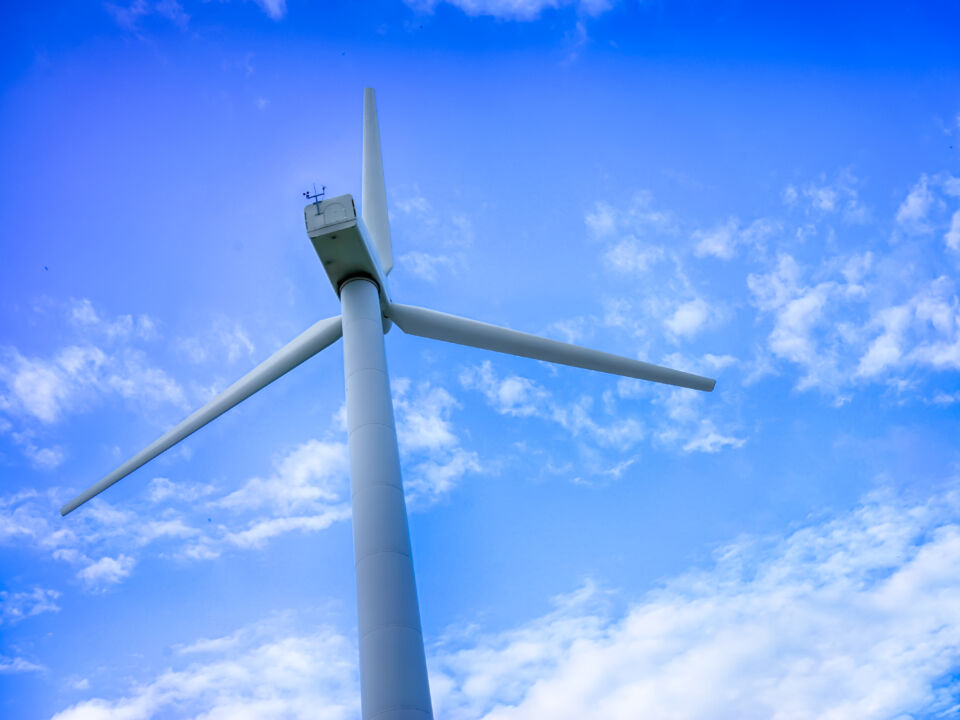 Irina Kustova – CEPS